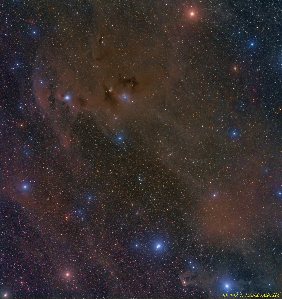 Barnard's 'E' nebula 142 | Telescope Live